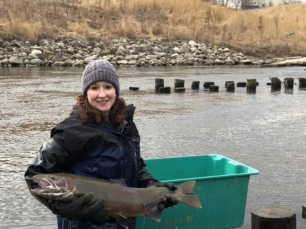 Let's Go Fishing! - TosaConnection