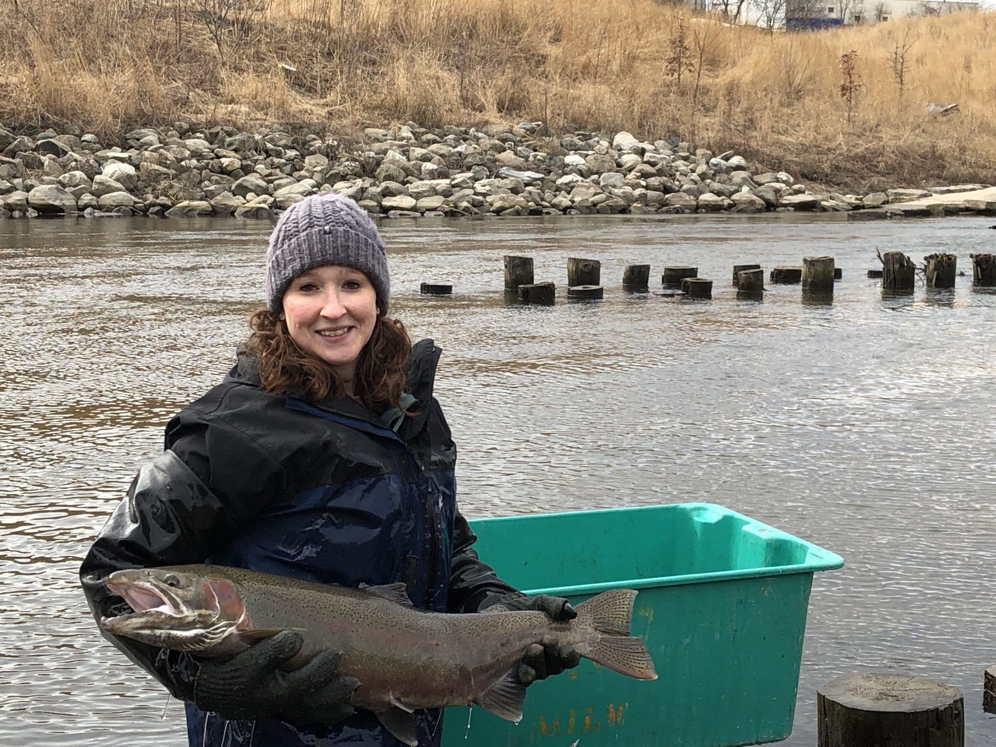 Let's Go Fishing! - TosaConnection