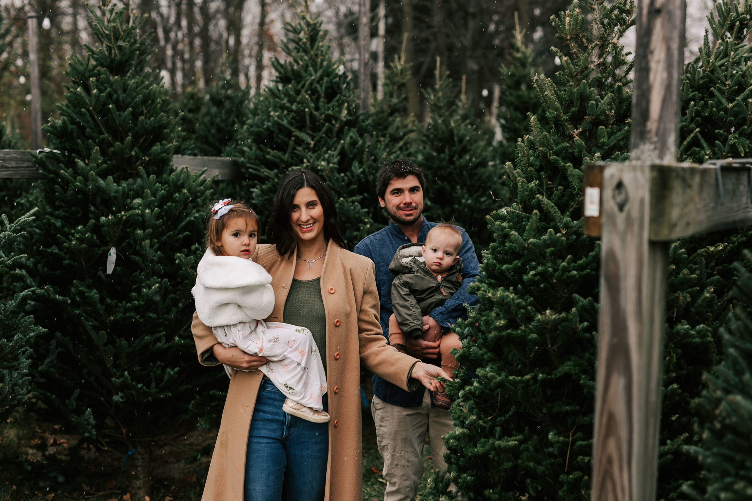 Of Family, Trees, and Tradition - TosaConnection